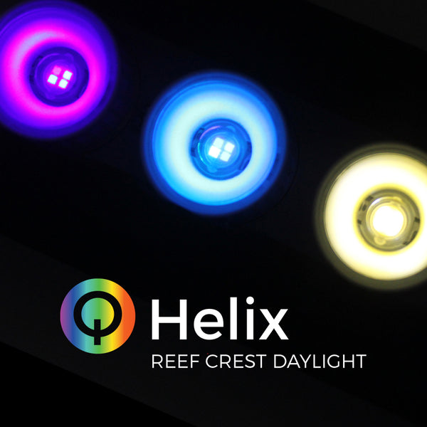 Quanta Helix – Quanta Lights