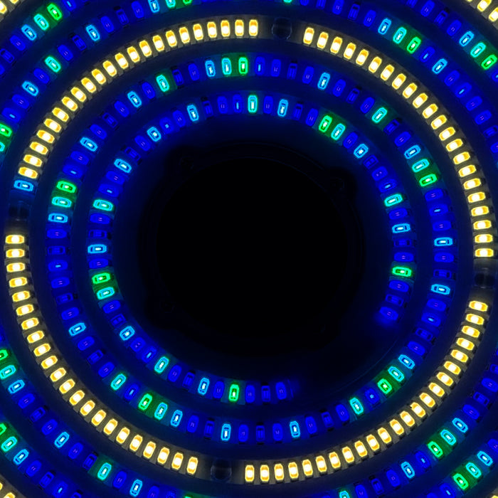 Atlas Science – Quanta Lights