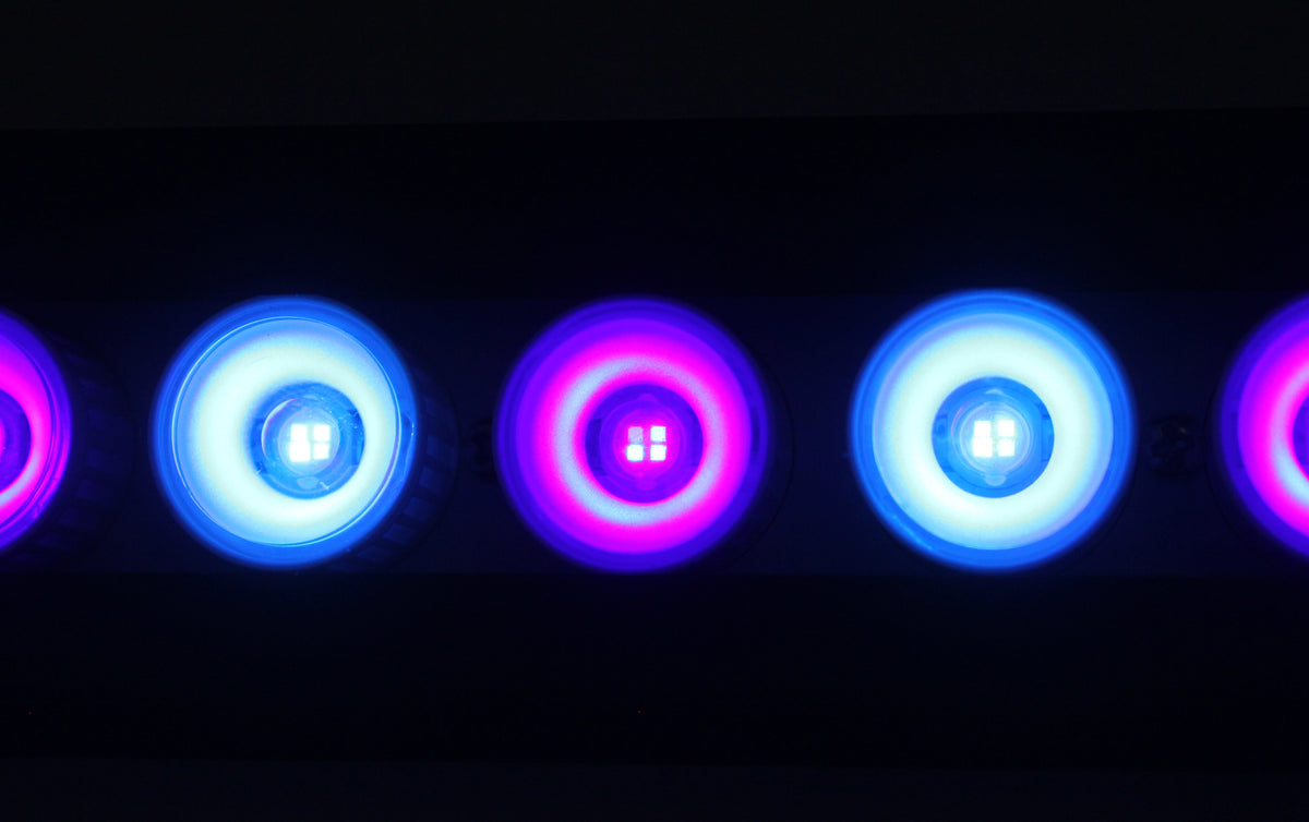 Products – Quanta Lights